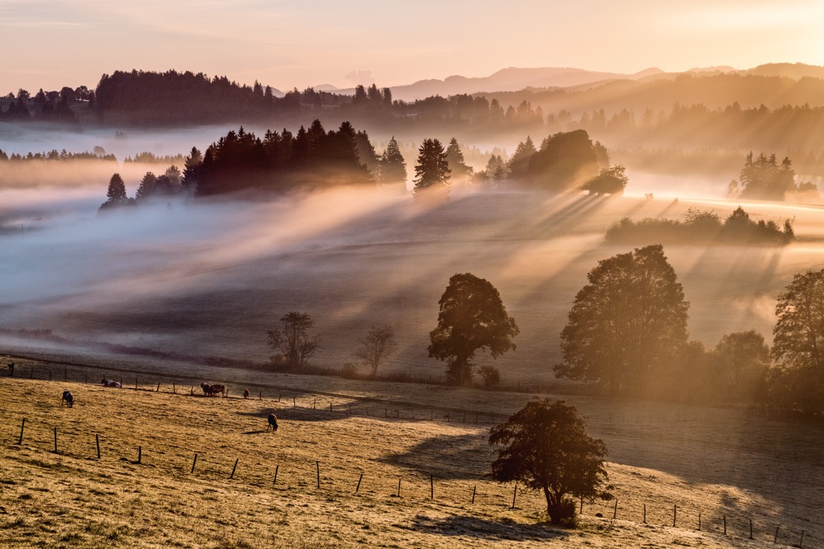 Hotels in Jura / Three-Lakes Region: Book easily & with no fees